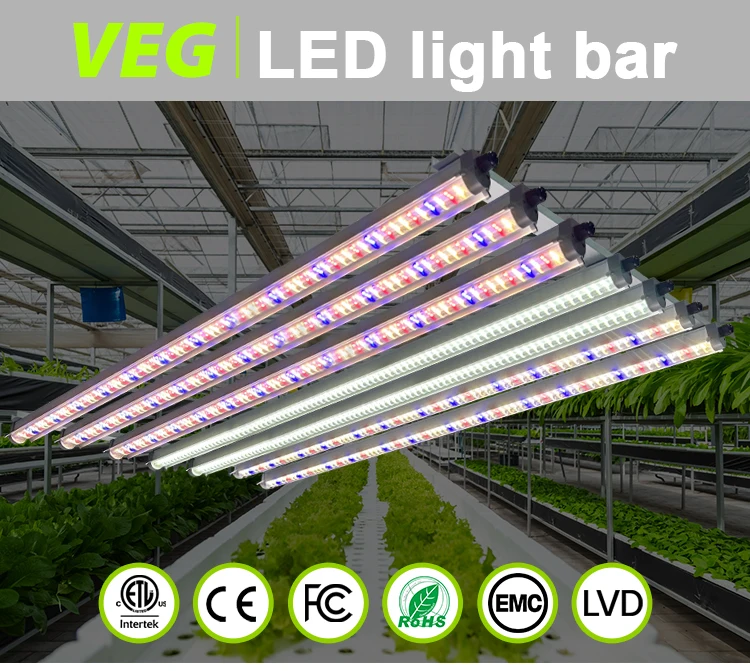 Vertical Racks Grow Box Luminous Indoor Vegetable Flower Hydroponic Diy ...