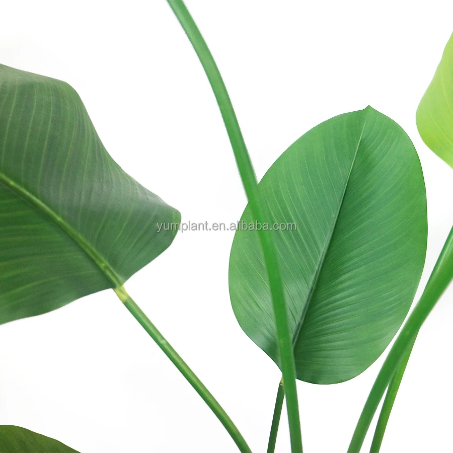 160cm High Artificial Calathea Lutea Tree - Perfect for Decor