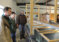 Nine brand High quality diesel DLLA150P1566 injector 0445120074 new ...