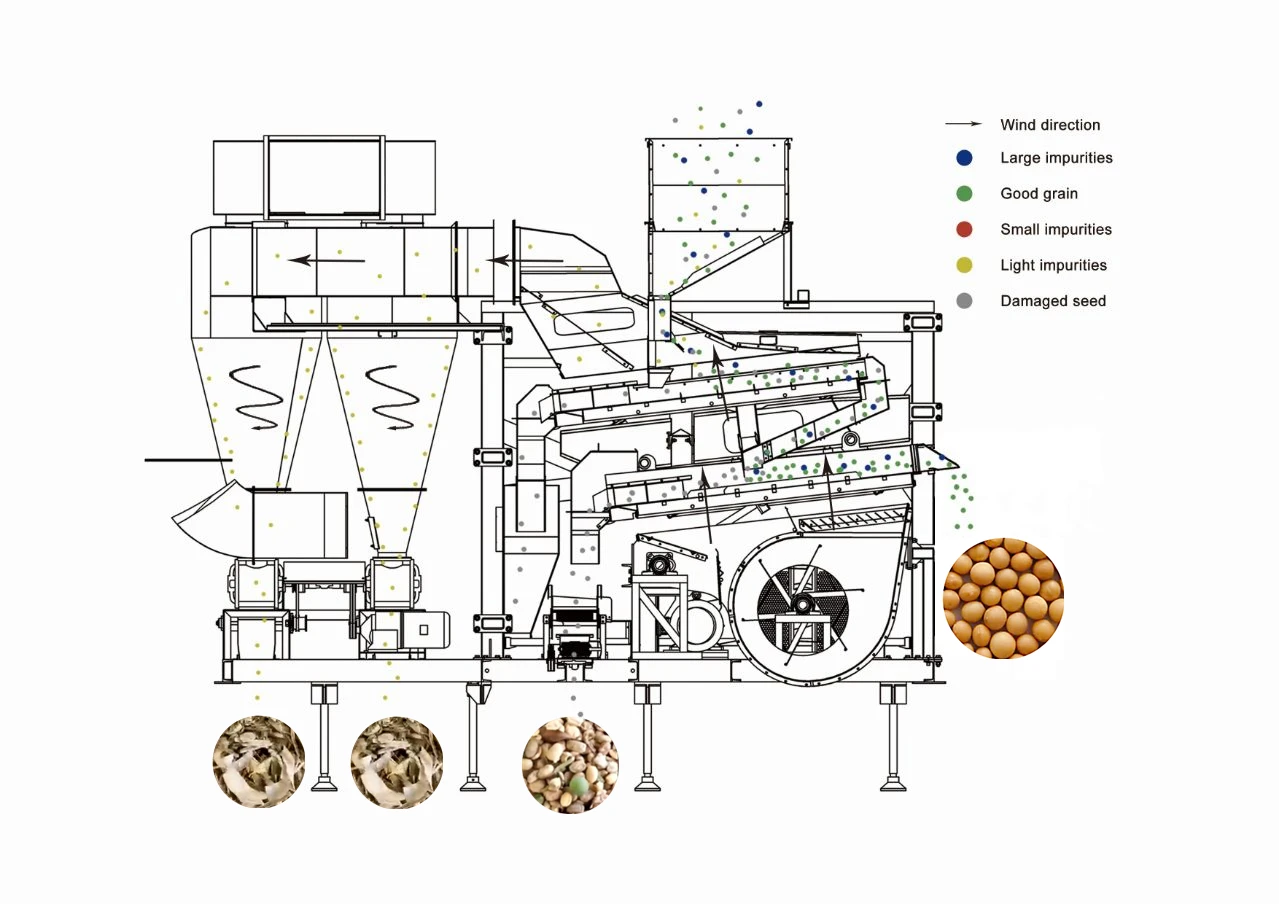 Coffee Bean Gravity Separator Machine - High Productivity