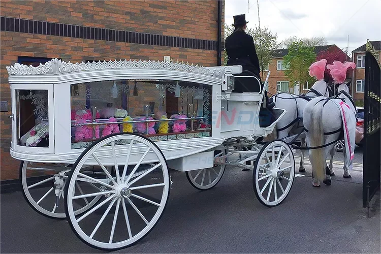 Luxury Horse Drawn Funeral Hearse Carriage Silver Glass Covered Coffin ...