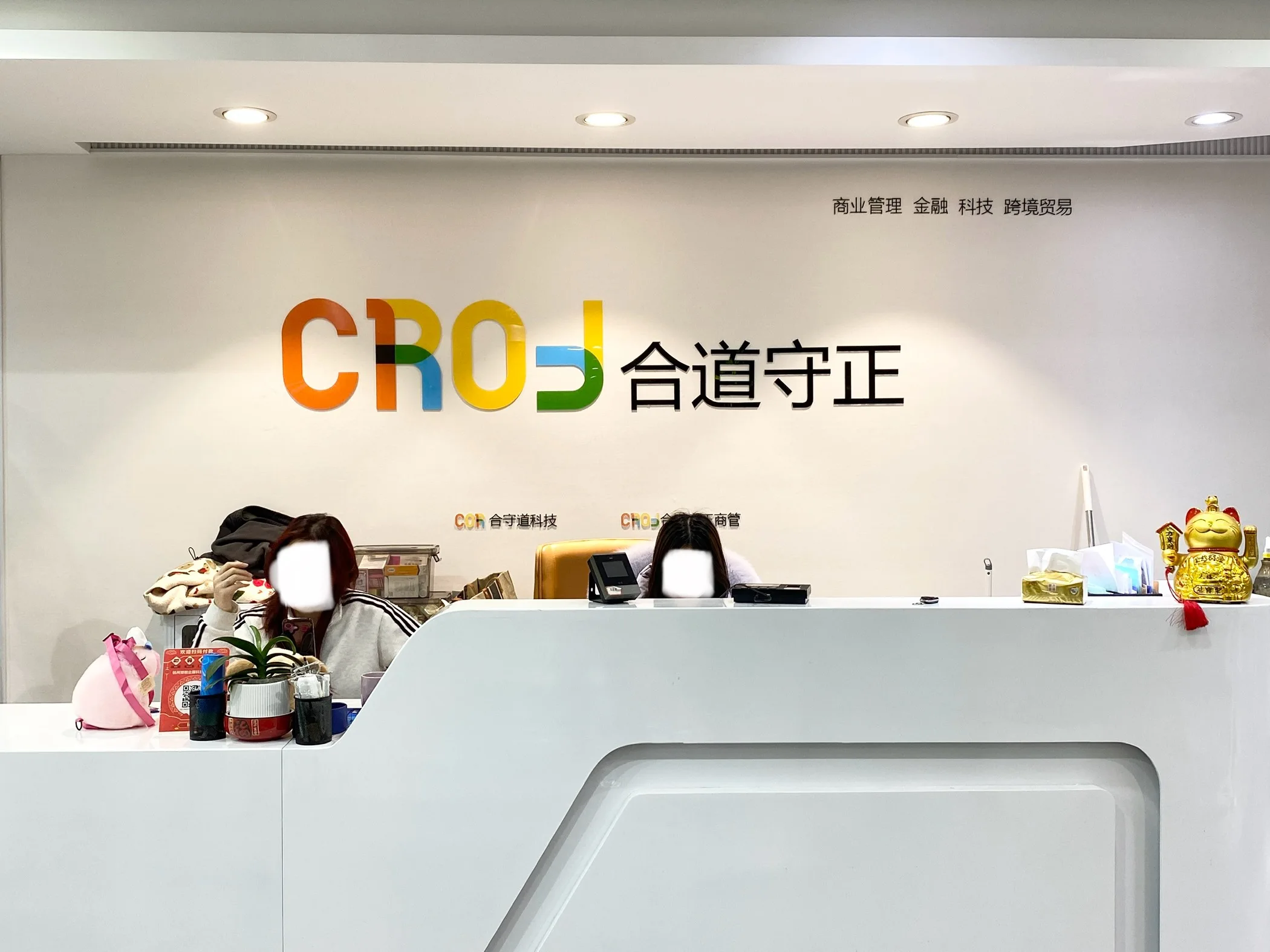 Company Overview - Heshoudao (hangzhou) Technology Co., Ltd.