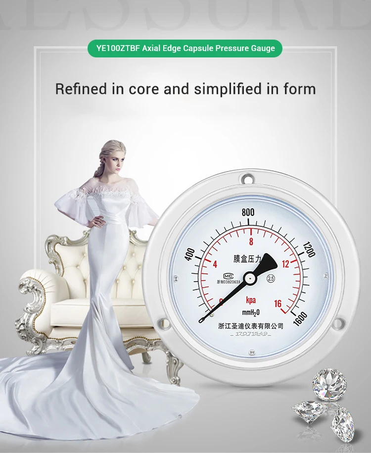 100 Kpa Axial Flange Edge Pressure Gauge All Stainless Steel Matte ...