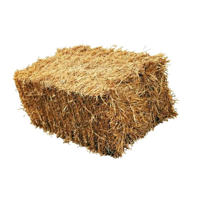 Block Of Straw From Rice Plants Made From Compressed Rice Cobs For Use ...