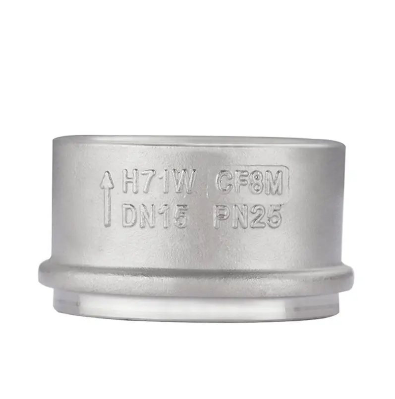 Spring Loaded Check Valve For Steam Piping Double Plate Ss304 Low ...