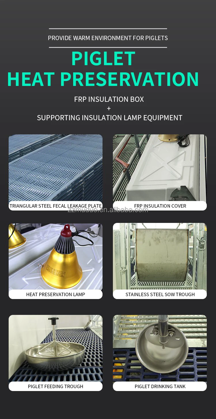 Pig Farming Equipment Stainless Steel Farrowing Crates Pig Grate Floor ...