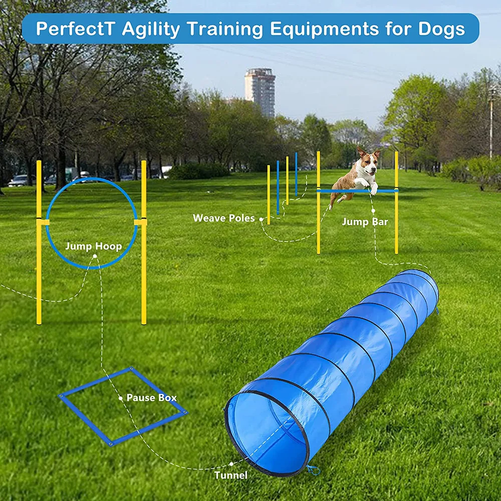 Dog Agility Training Equipment Outdoor Portable Dog Obstacle Training ...