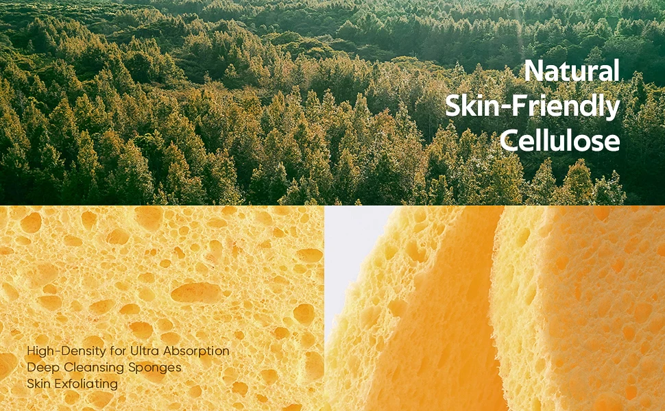 2024 Original Disposable Cellulose Sponge - Buy Disposable Cellulose ...