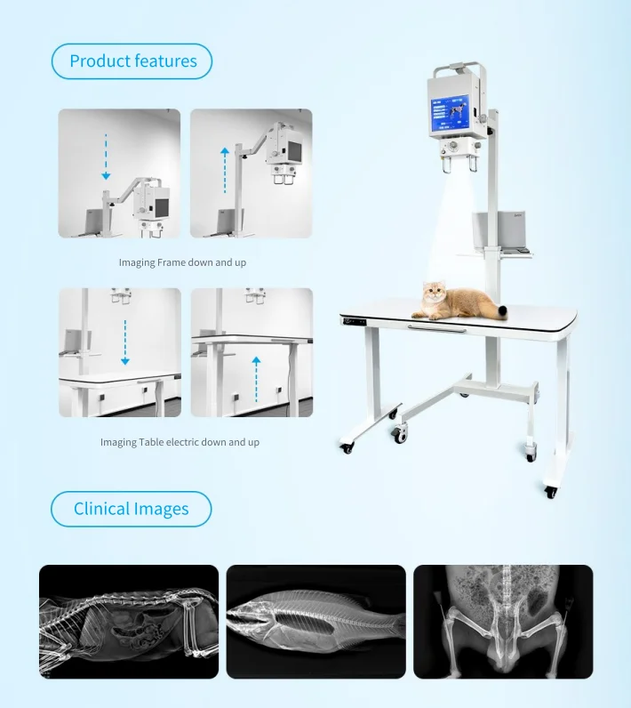 Professional Digital Veterinary X Ray Machine for Dog and Cat