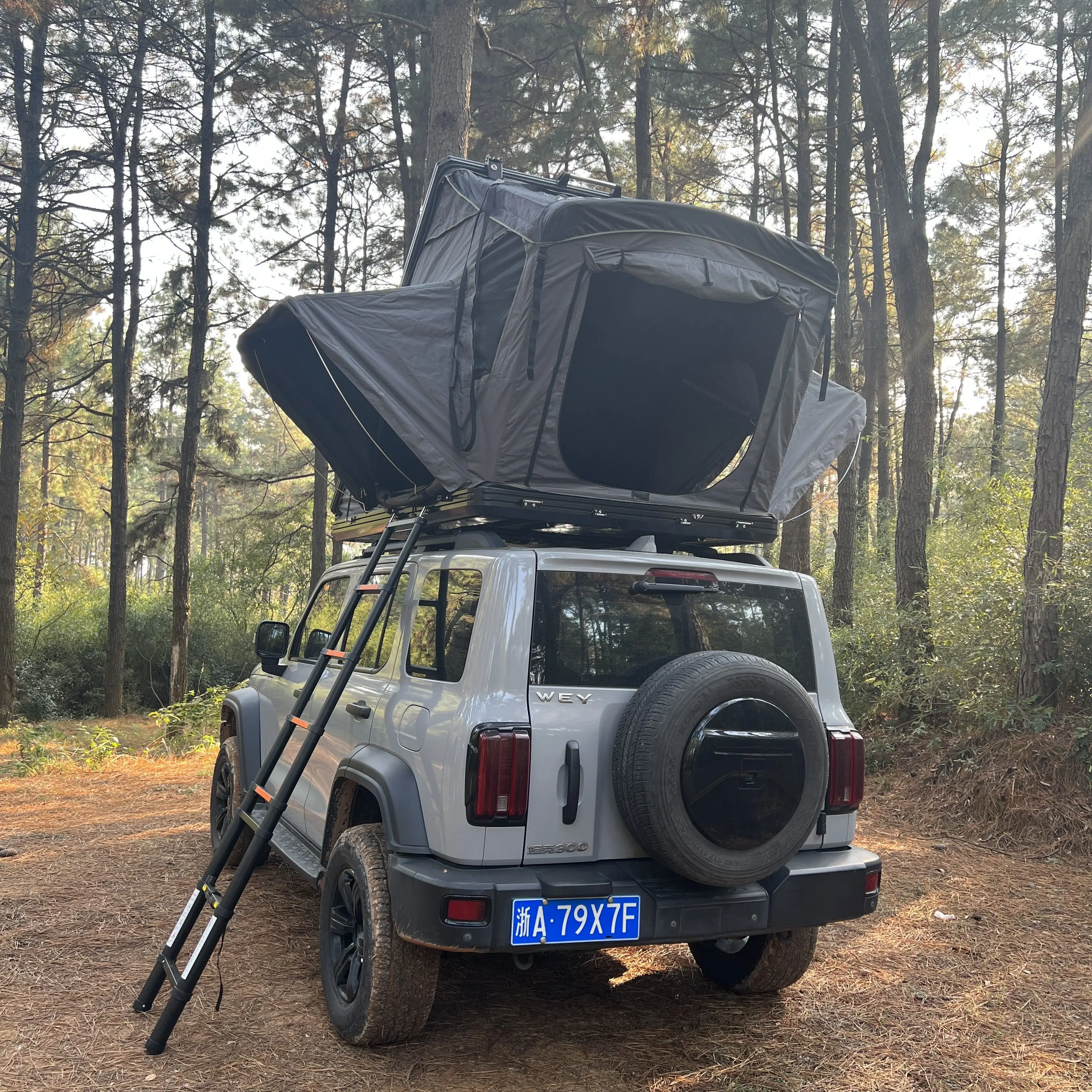 Aluminum Hard Shell Roof Top Tent With Roof Big Space Triangle Shape ...