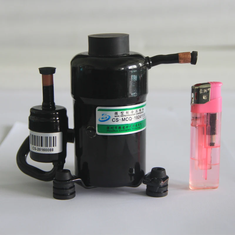 Wholesale Rotary Refrigeration R290 Dc Portable Compressor