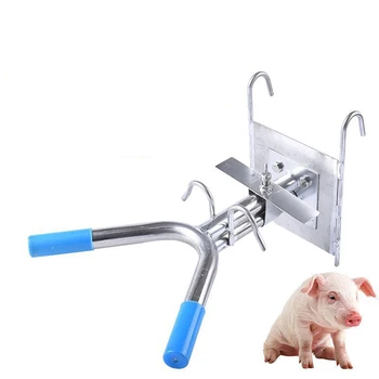 Castration Tool For Piglet Castration Tools For Goat Piglet Castration ...