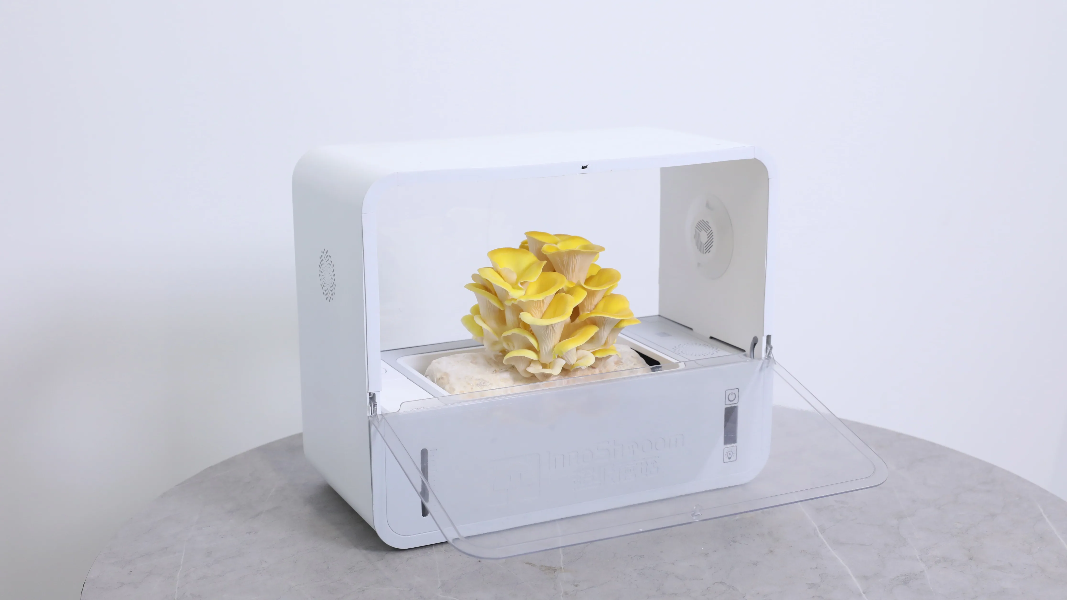 Mini Mushroom Greenhouse Growing Container Grow Box Humidity Regulator ...