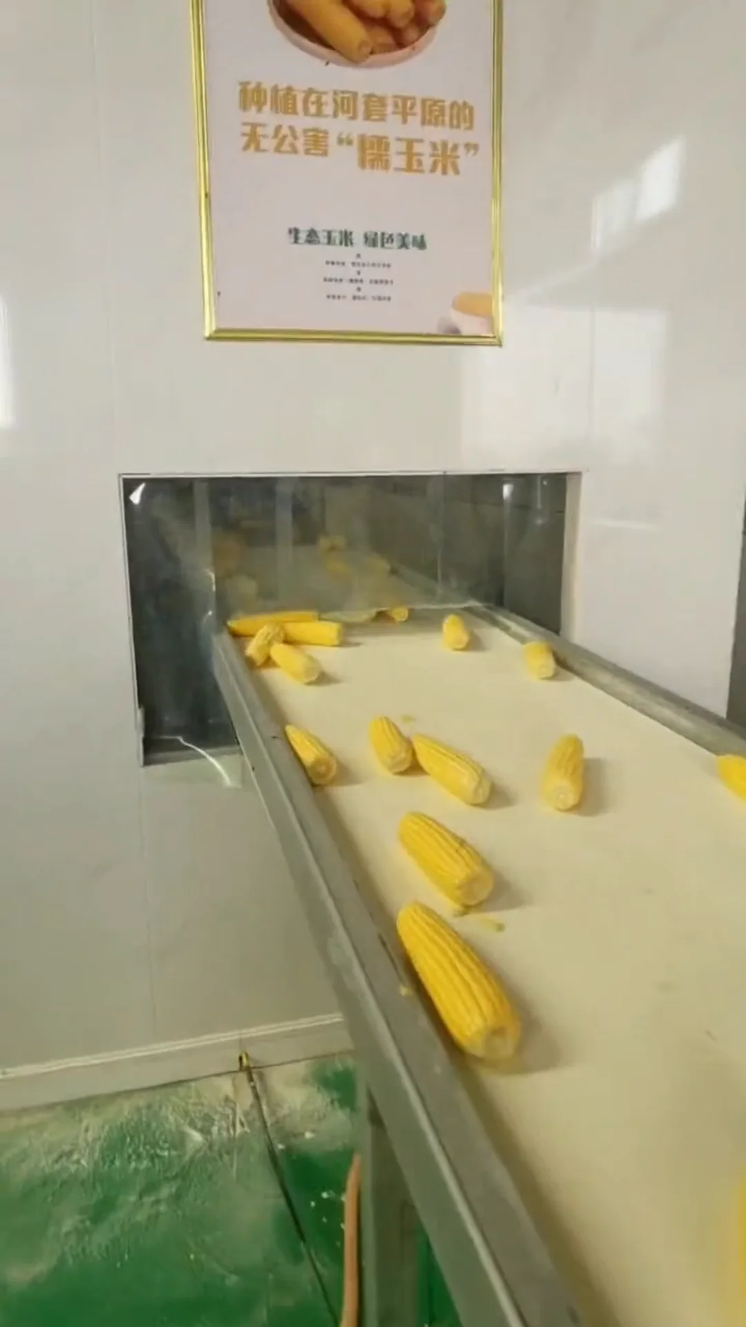 High Quality Vegetable Fruit Processing Line Frozen Vegetable Sweet ...