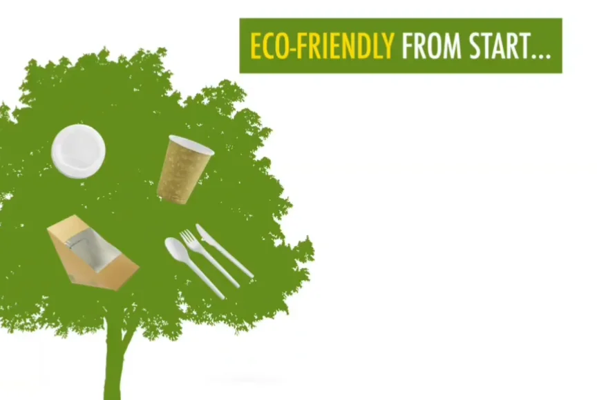 Wholesale Disposable Bamboo Paper Packaging/take Out Eco Friendly ...