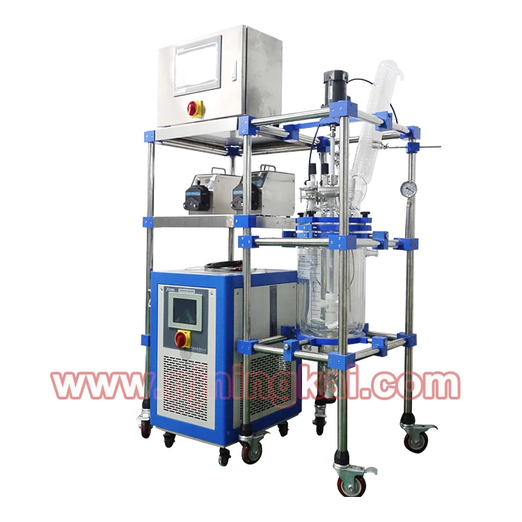 XINCHEN 20L Jacketed Glass Reactor for Biodiesel Production - ODM