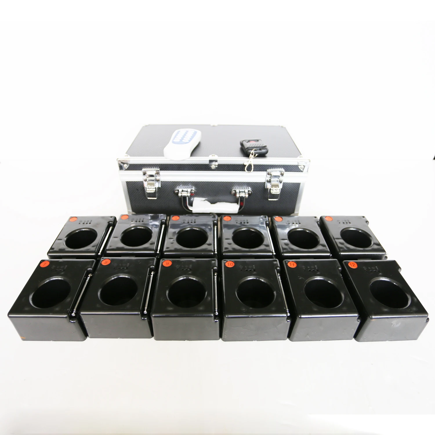Professional 12 Channel Wireless Remote Control Cold Pyro Fireworks ...