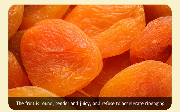 Red Apricots Dry Seedless Dried Apricots| Alibaba.com