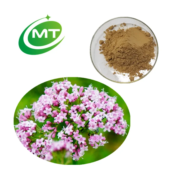 Organic High Pure Relax Sleep Aid Valerian Extract Powder