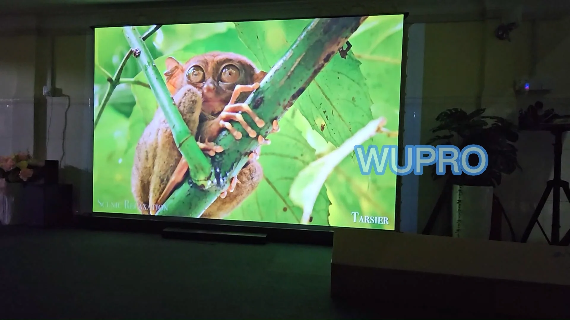 Wupo Brand New 100-150 Inch Floor Rising Projector Screen Motorized Alr ...