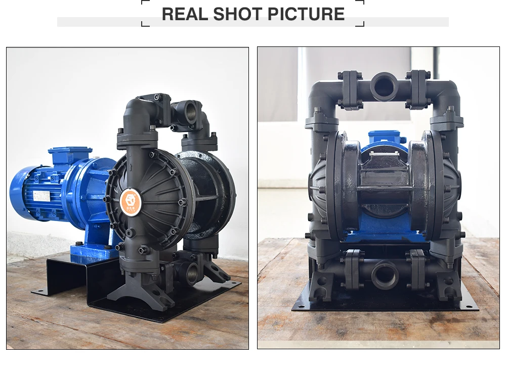 BFD-40L electric diaphragm pump_BFD_Electric Diaphragm Pumps_GODO PUMPS