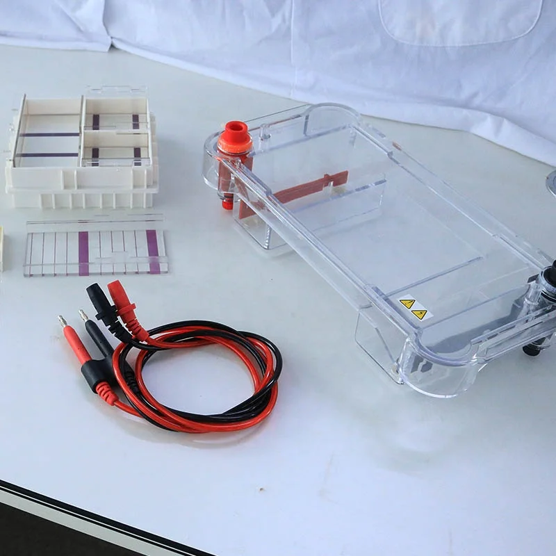 BIOBASE Horizontal Electrophoresis Tank - 700ml Buffer Volume
