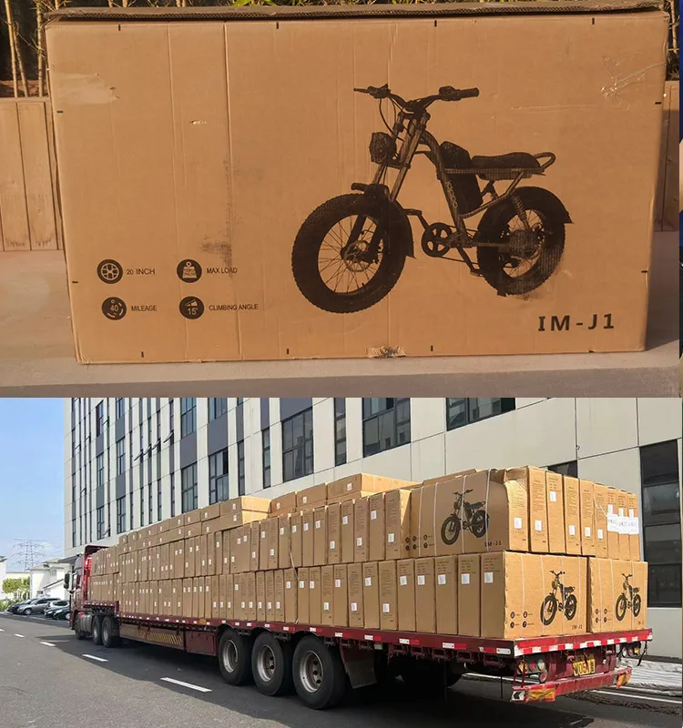 Fatbike V20 Electric Bike - Durable, Powerful, and Versatile
