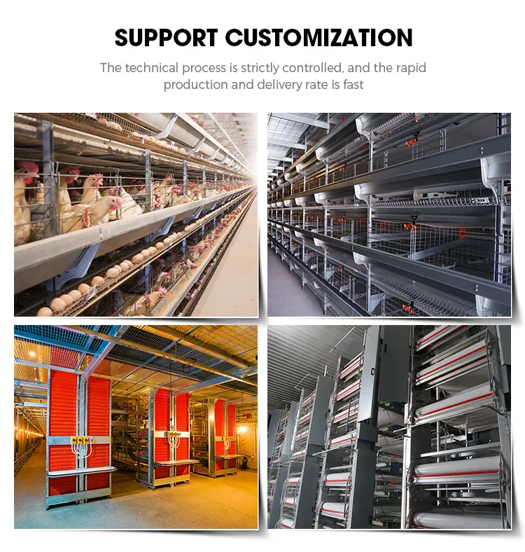 Poultry Farming Commercial Cage Cages Laying Hens Chicken Poultry Cages ...