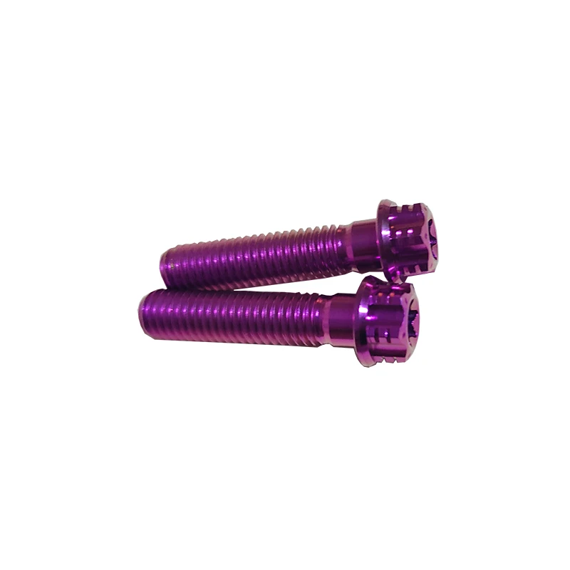 Customization M8 Gr5 Titanium Hex & Torx Head Flange Bolts Titanium ...