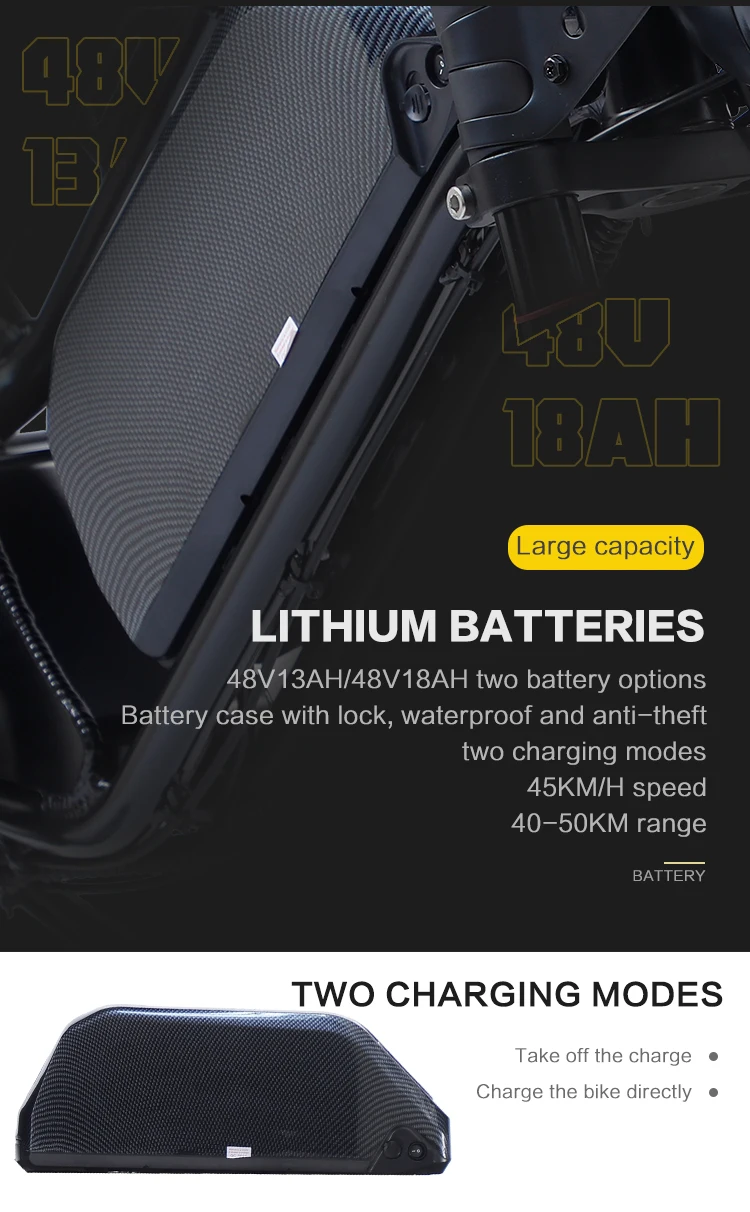 Adult Mountain Full Suspension Ebike - Offroad Stealth Bomber