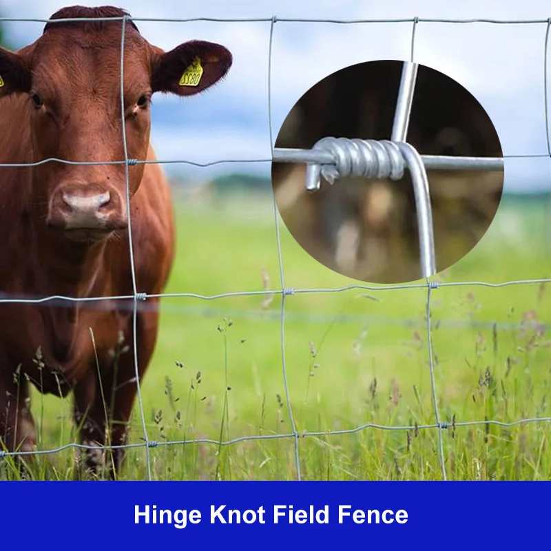 Cheap Netting Farm Fence Wire Mesh Galvanized Goat Hog Wire Farm ...