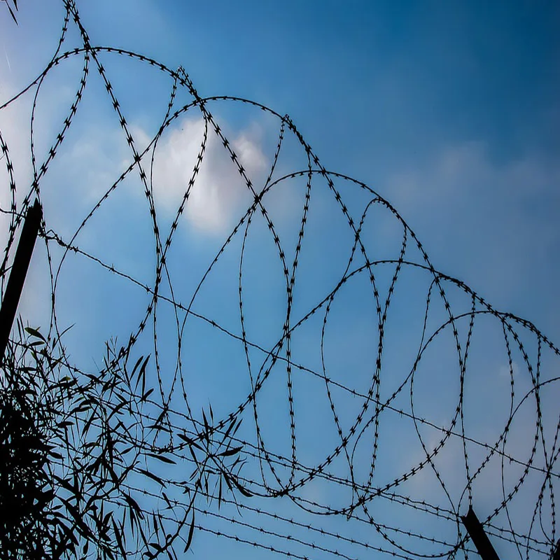 Galvanized Steel Snake Belly Razor Barbed Wire Net with Thorns ...