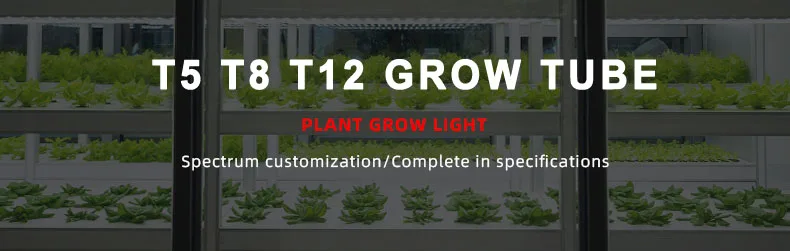 Wholesale LED Grow Lights - Full Spectrum T5 T8 T12 Tubes