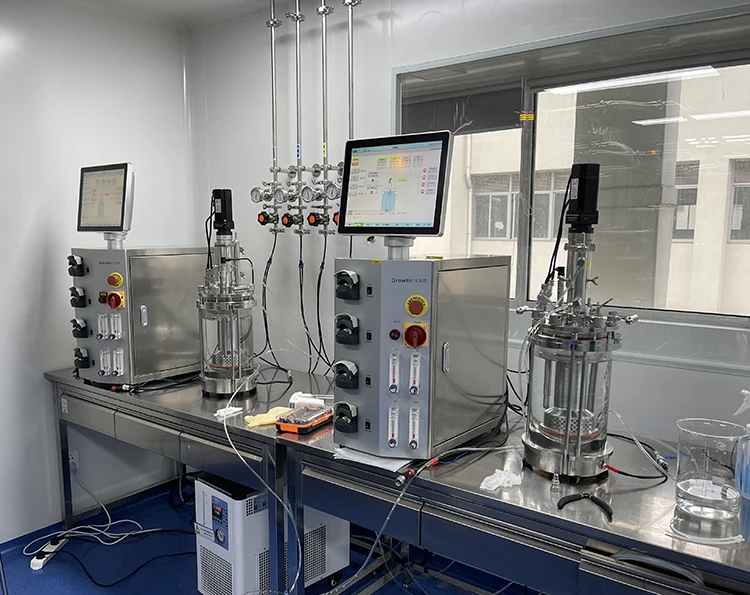 Microcarrier Cell Culture Bioreactor - Automatic Lab Glass Fermenter ...