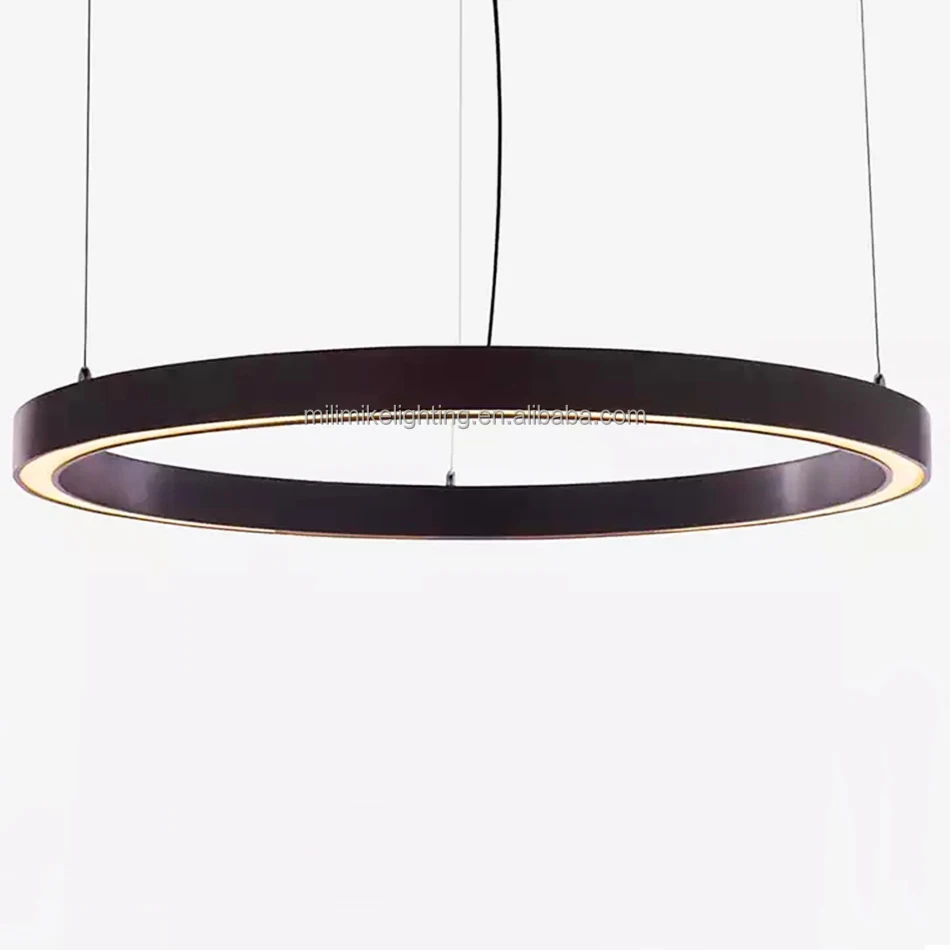 Custom Black Ring Shape Large Curve Linear Light Circular Oval Hanging ...