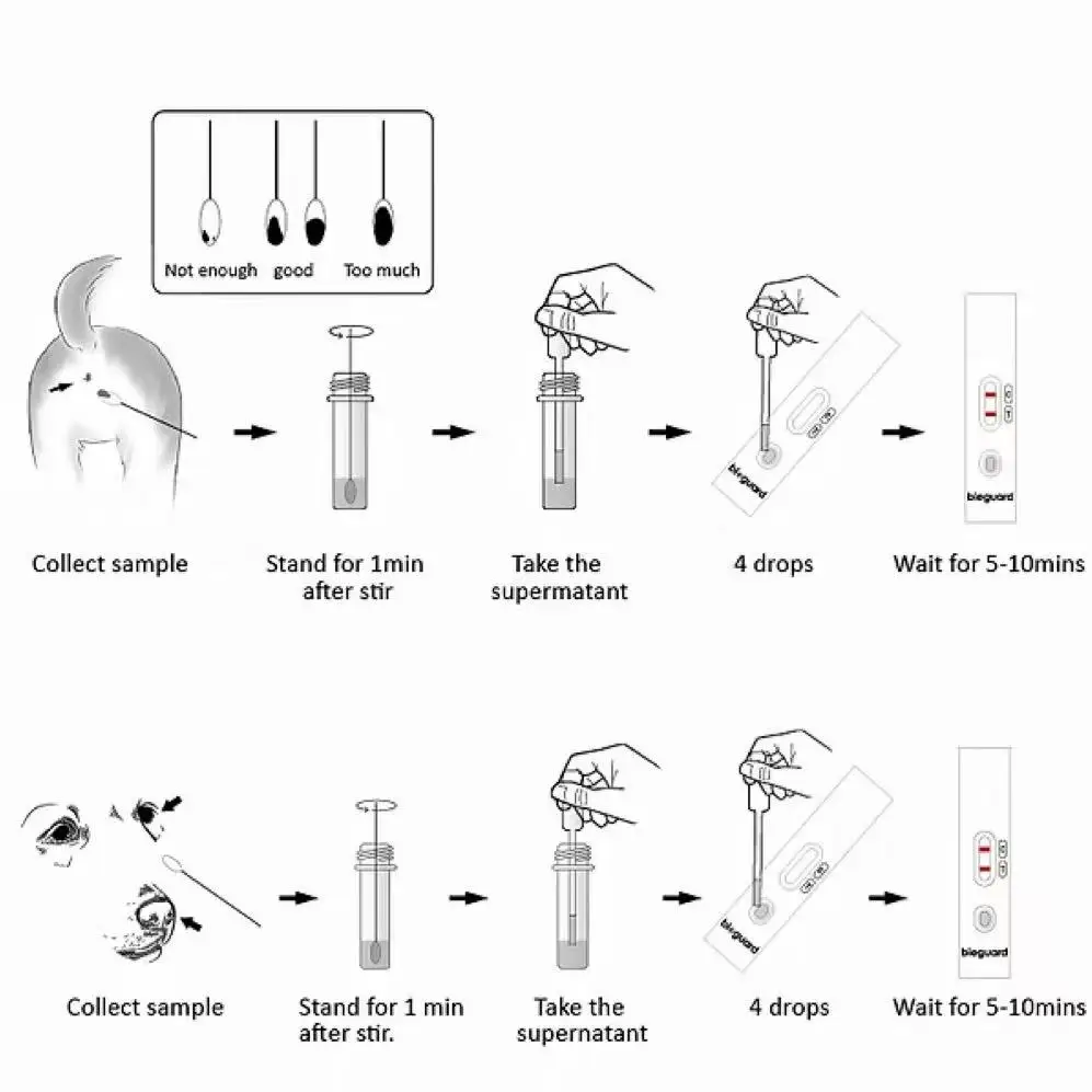High Accuracy Rab Pet Rabies Dog Test a Pet Care Canine Rabies Antigen ...