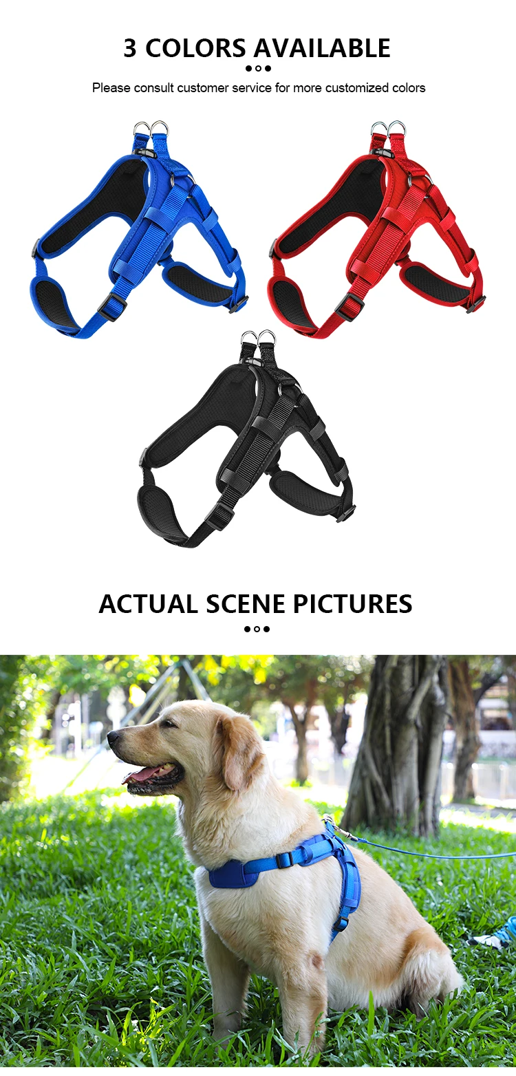 Custom Logo Pet Dog Safety Harness - Soft Padded & Adjustable