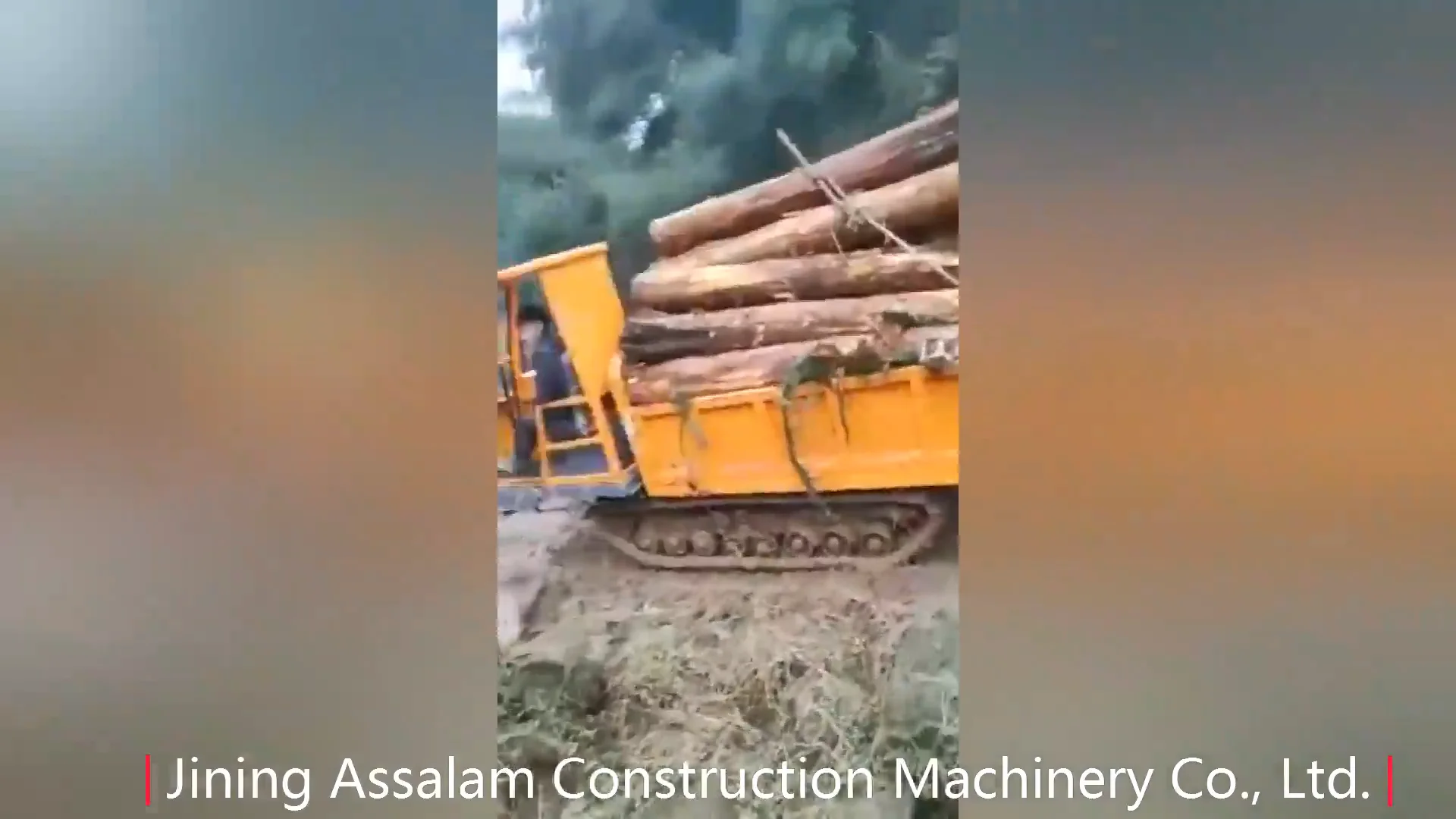 Forestry Machines Mini Loader Log Grab 5 Ton 6 Ton 8 Ton Crawler Dumper ...