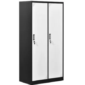 Steel Almirah Design Almari Locker For Changing Rooms 2 Door Modern ...
