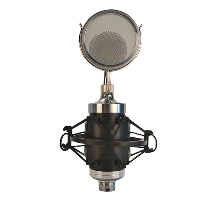 Lane Professional Studio Microphone - Condenser Mic Bm-800xx