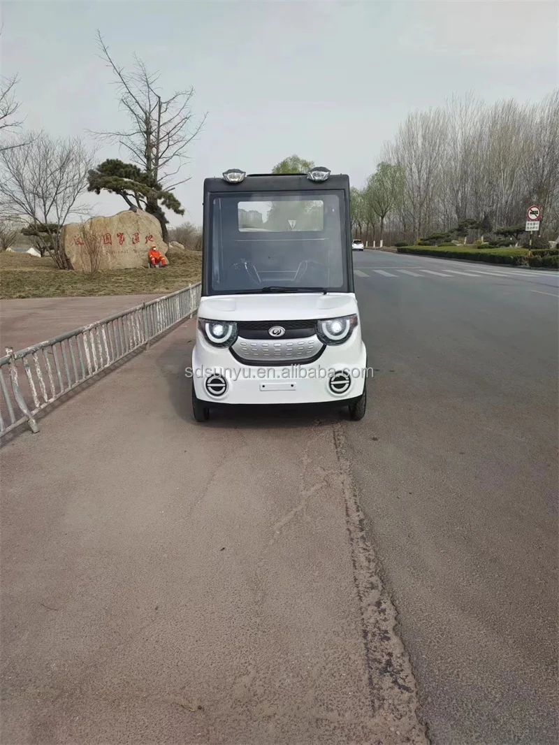 Cargo Trike - Mobility and Convenience for Disabled Persons