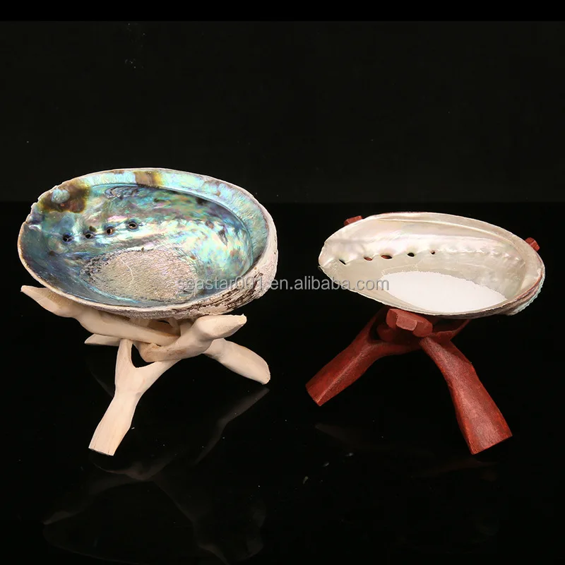 Wholesale Australian Green Abalone Sea Shell Natural Raw Horn Style ...
