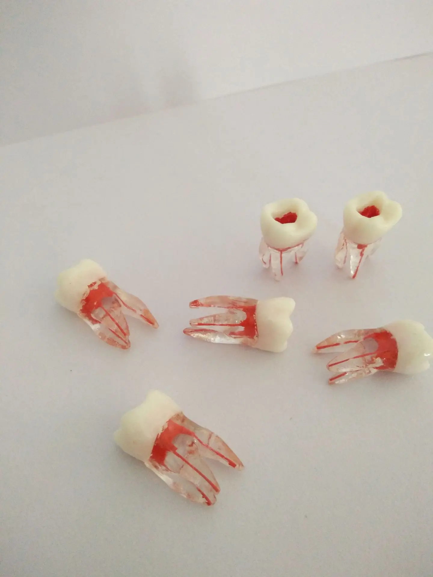 Dental Endodontics Endo Tooth Teeth Root Canal Models For Rct Training ...