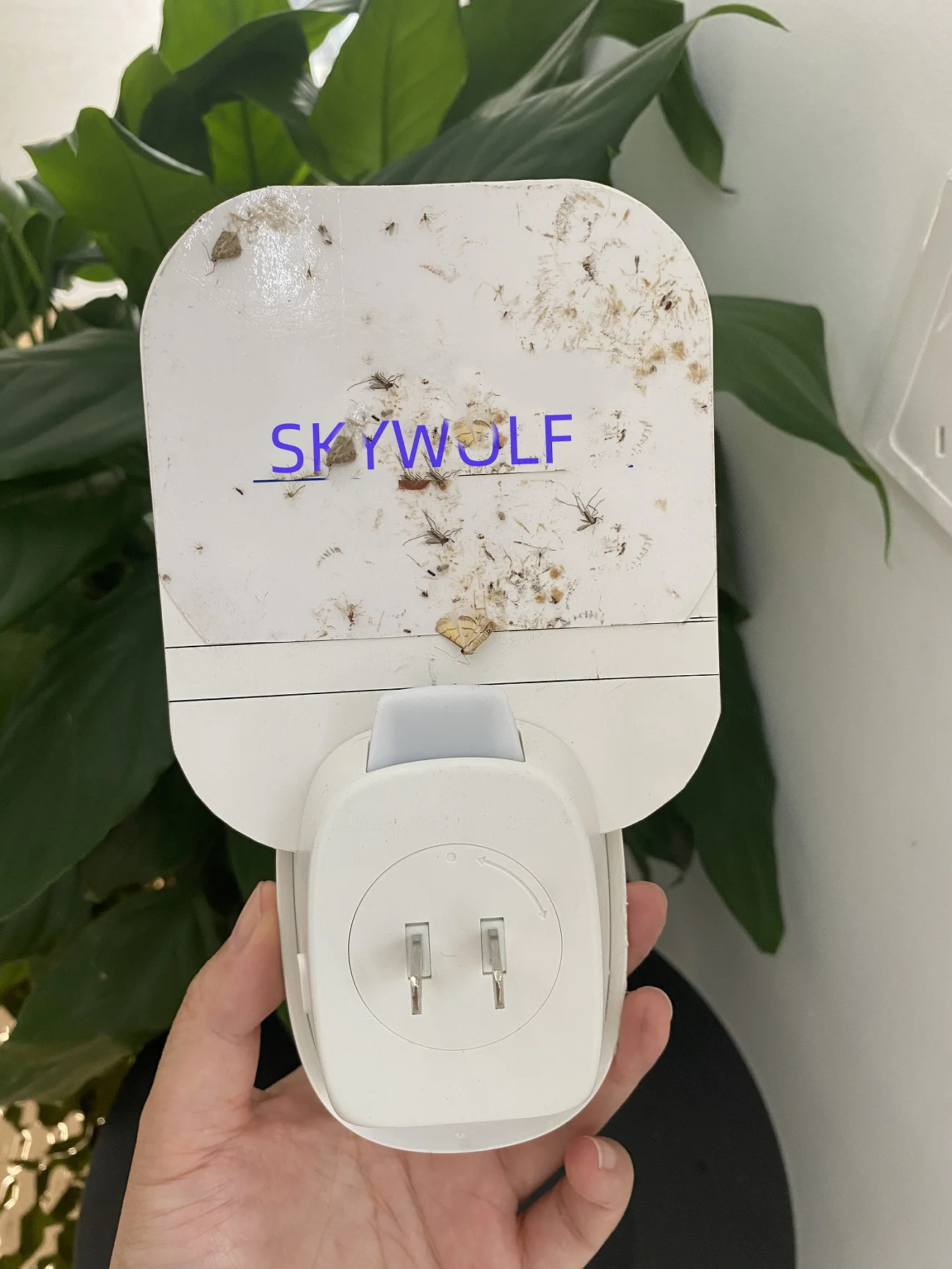 Indoor Uv Led Insects Glue Trap Effective Fly Sticky Wall Pest ...