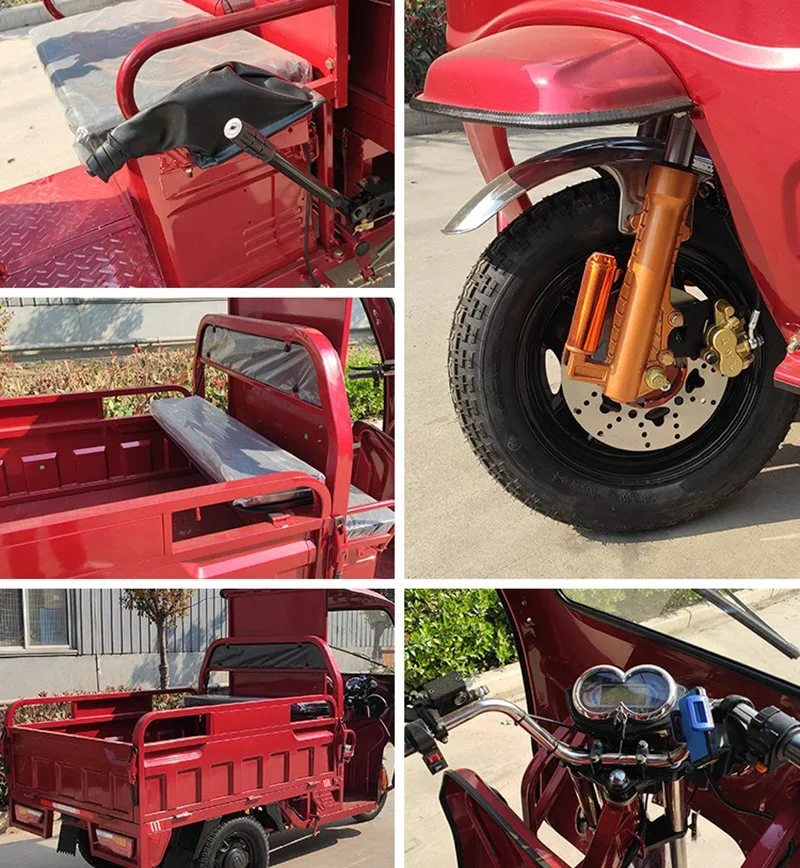 Passenger Electric Tricycleadult Electric Tricycle - Buy Multi-purpose ...