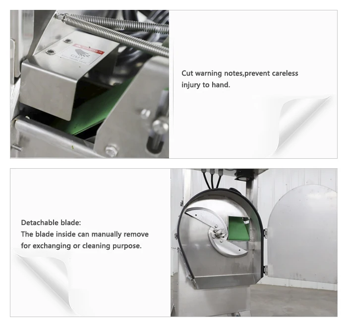 VEGETABLE CUTTING MACHINE - Efficient & Versatile Solutions