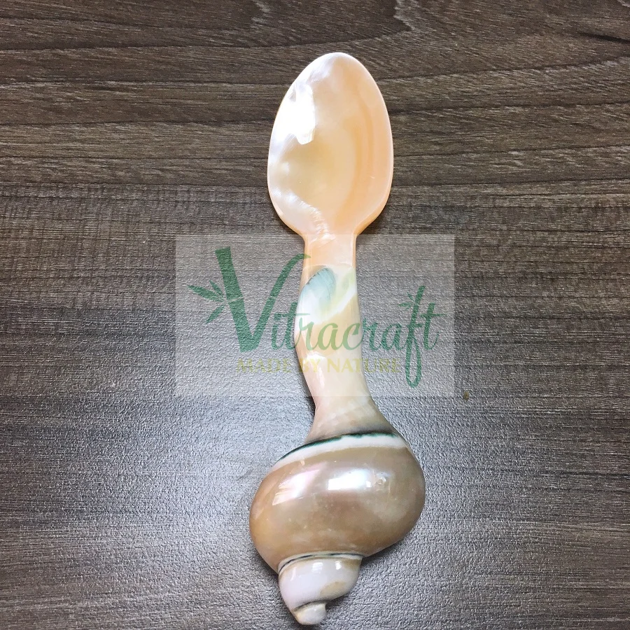 Natural Oyster Shell Mother Of Pearl Spoons Caviar Spoon Coffee Scoops ...
