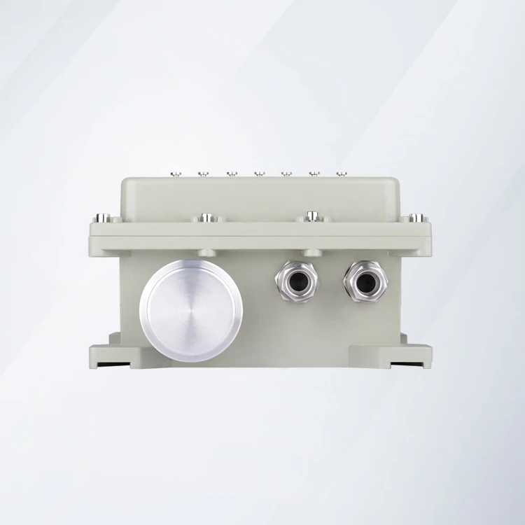 Direct Reading Type Explosion-proof Online Alarm Monitoring ...