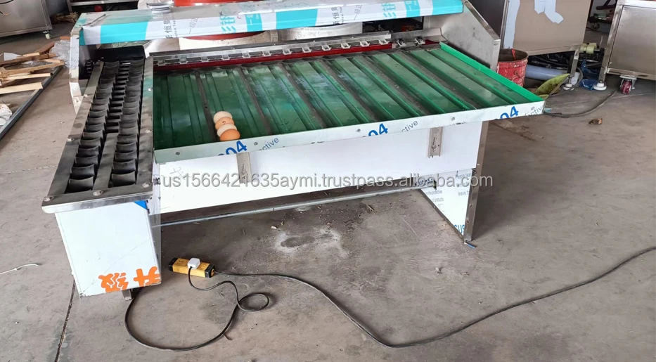 Egg Grading Machine - High Efficiency & Easy Operation