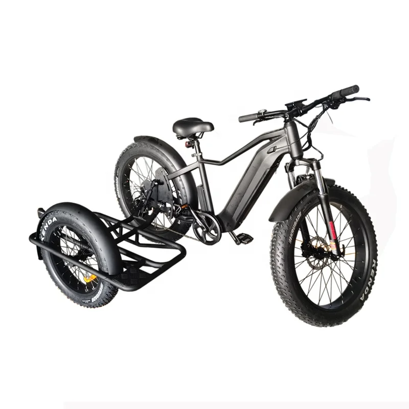 E Bike Side Car – Adult Electric Tricycle with 750W Motor, 3 Wheels ...